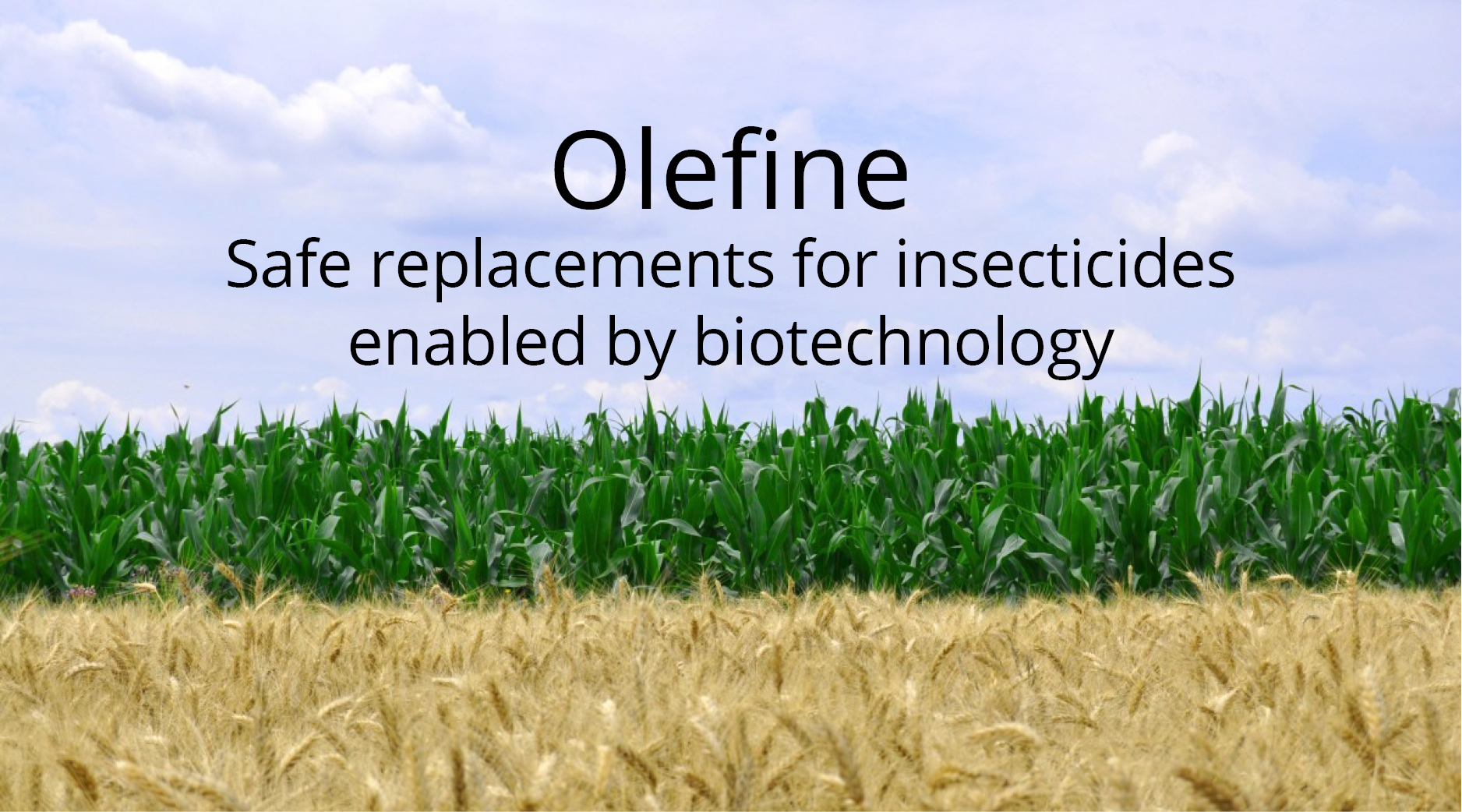 Το έργο OLEFINE στην υπηρεσία της Αγροβιοτεχνολογίας για την ...